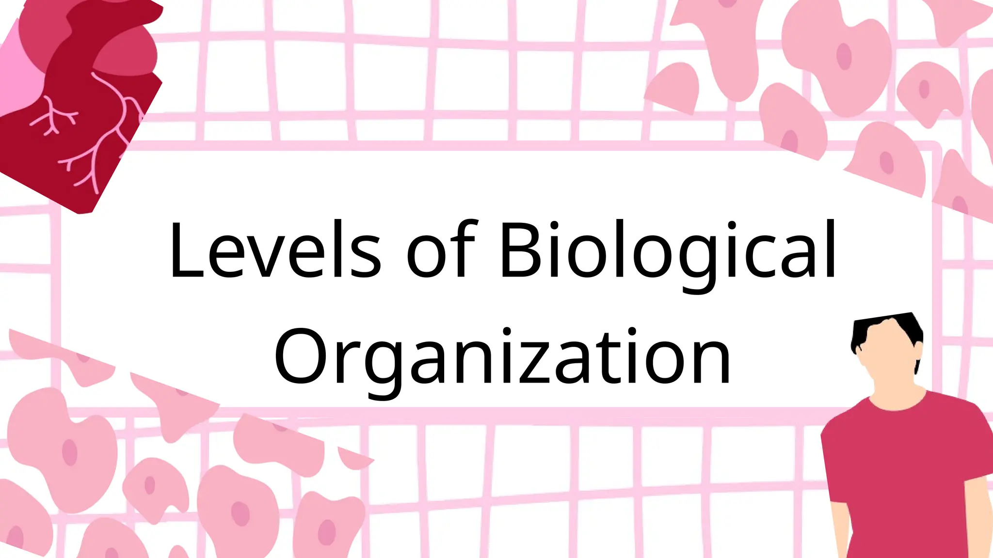 Levels of Organization Biology Presentation in a Pink Simple Style.pptx