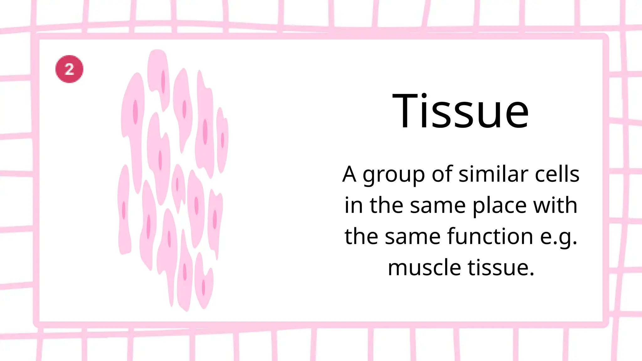 Levels of Organization Biology Presentation in a Pink Simple Style.pptx