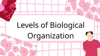 Levels of Organization Biology Presentation in a Pink Simple Style.pptx
