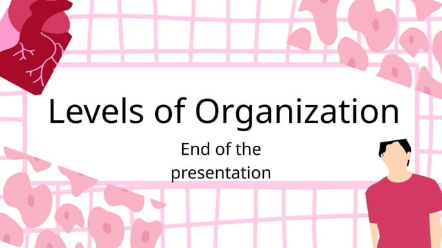 Levels of Organization Biology Presentation in a Pink Simple Style.pptx