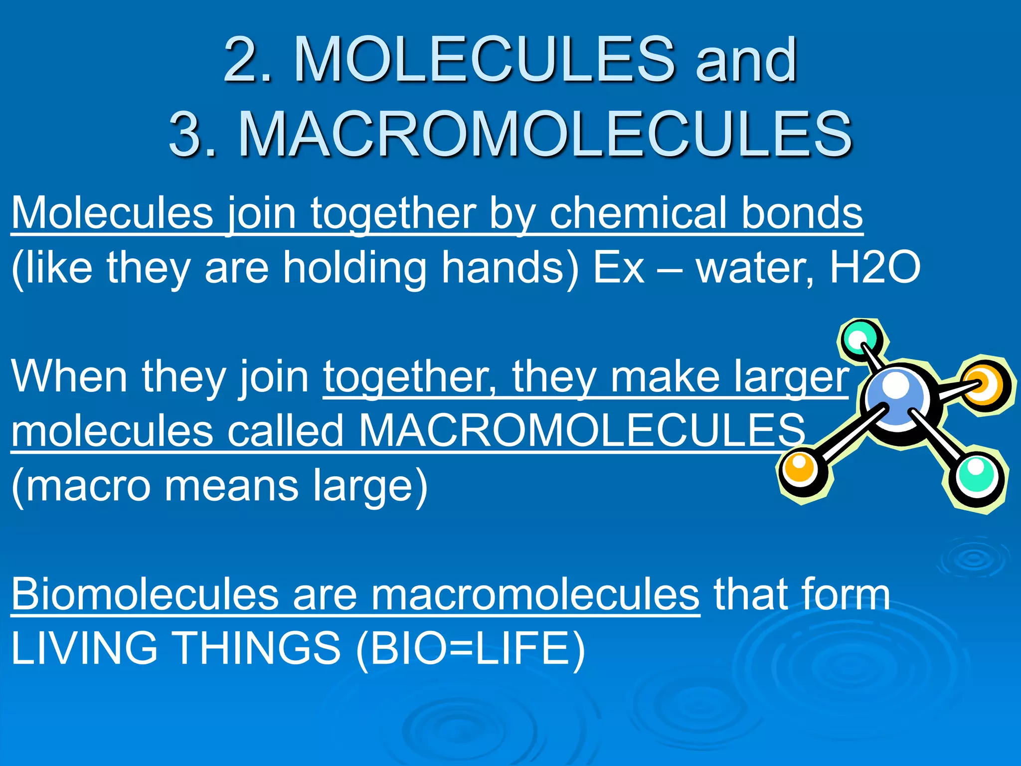Levels of Organization grade 7.ppt