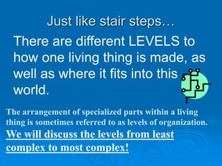Levels of Organization grade 7.ppt