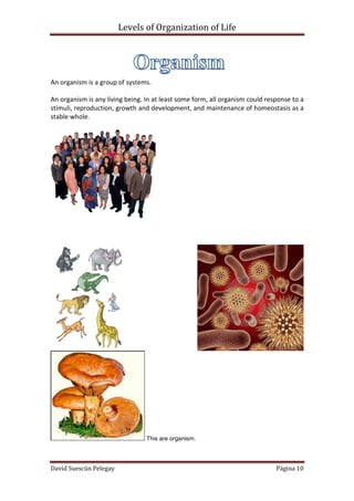 Levels of organization of life | PDF