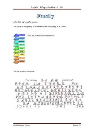 Levels of organization of life | PDF