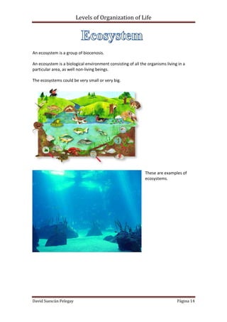 Levels of organization of life | PDF