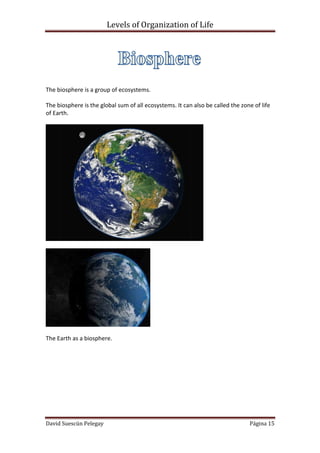 Levels of organization of life | PDF