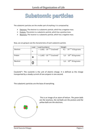 Levels of organization of life | PDF