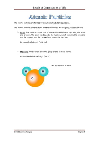 Levels of organization of life | PDF