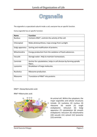 Levels of organization of life | PDF