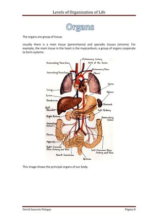 Levels of organization of life | PDF