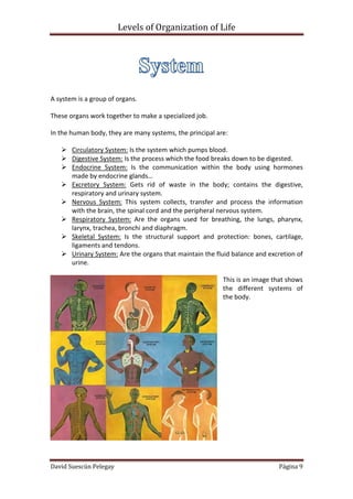 Levels of organization of life | PDF