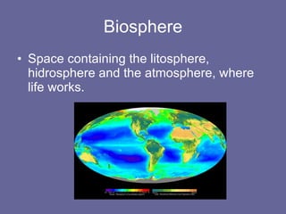 Levels of organization_of_matter | PPT