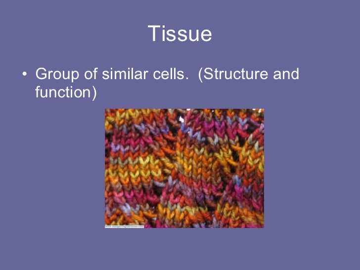 Levels of organization_of_matter