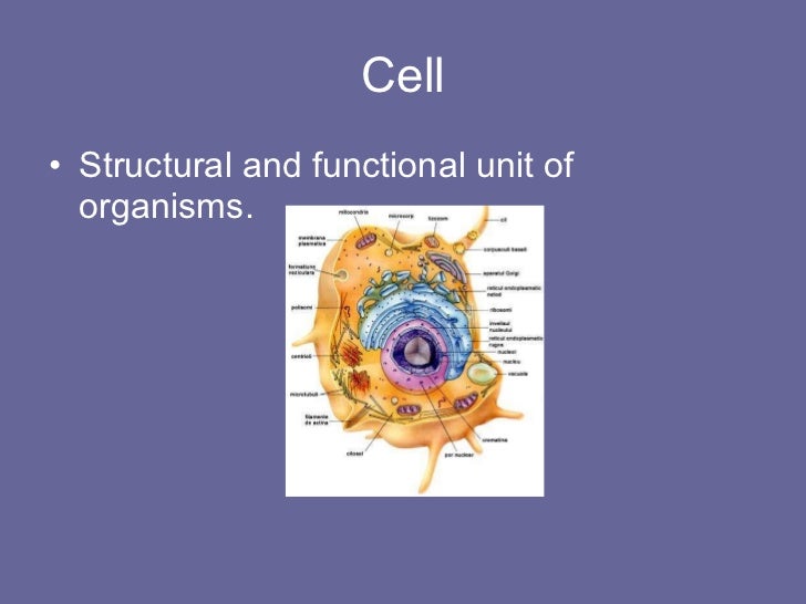 Levels of organization_of_matter