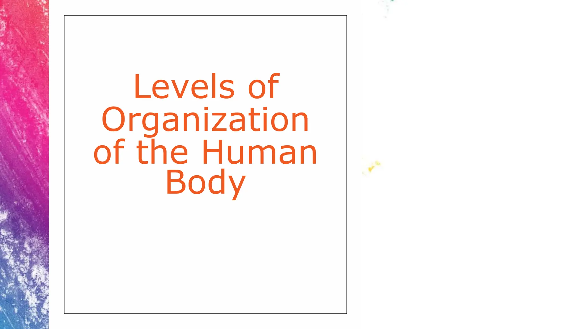 Levels of Organization of the Human Body 2.pptx