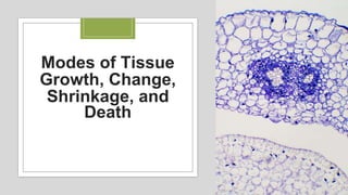 Levels of Organization of the Human Body 2.pptx