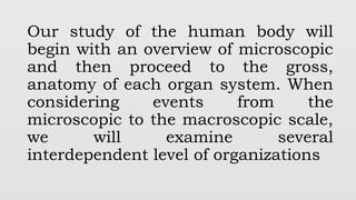 Anatomy and Physiology :levels of organizations | PPTX