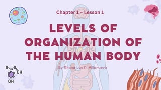 Levels of Organizations of the Human Body_20260411_180652_0000.pdf