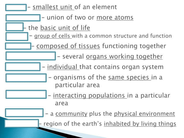 ORGANISMS LEVELS OF ORGANIZATION GRADE SEVEN.pptx