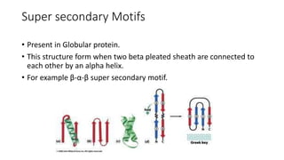 Different Levels of protein | PPTX
