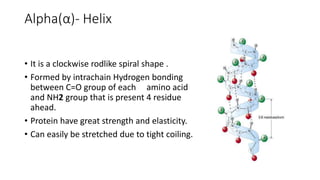 Different Levels of protein | PPTX