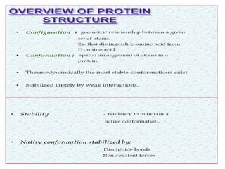 Levels of protein structure | PPT