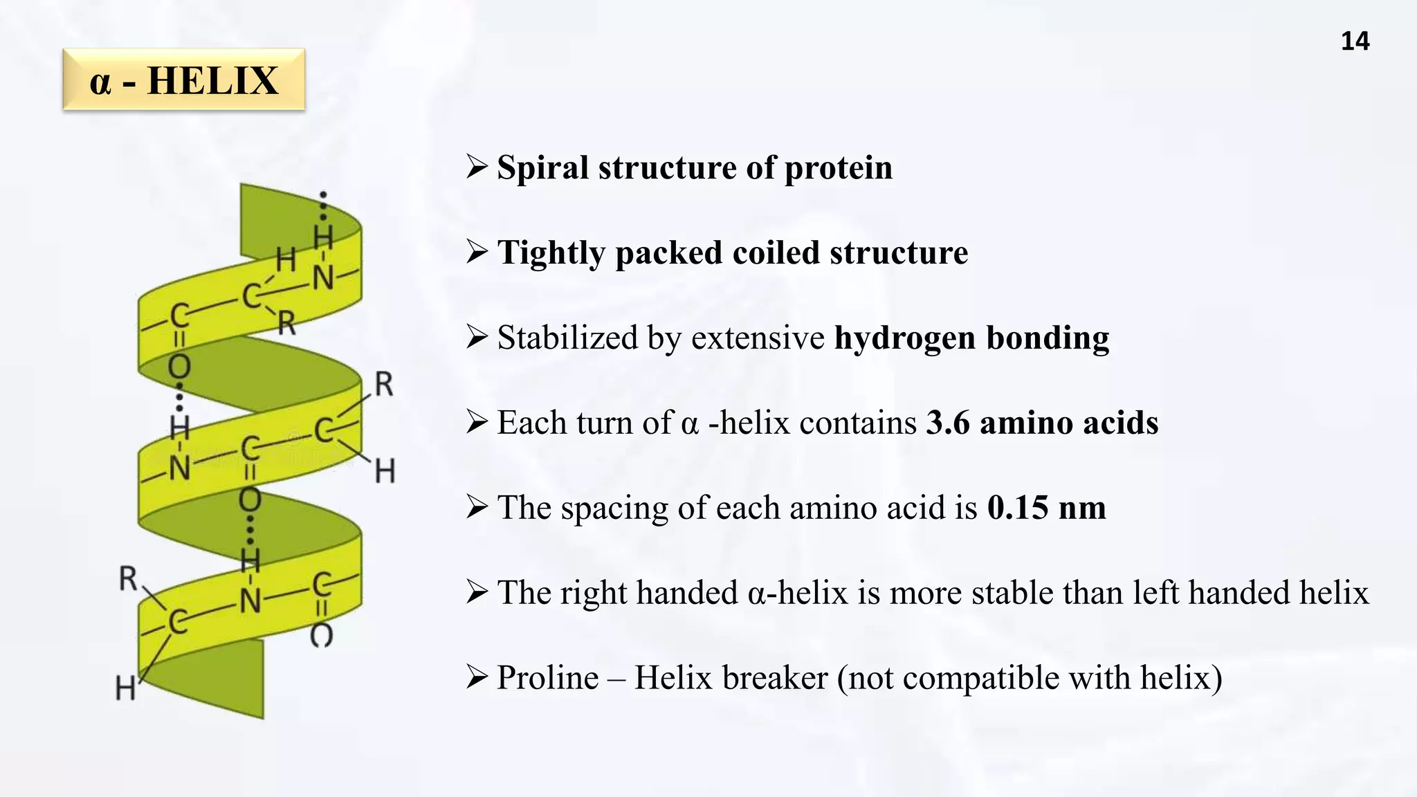 LEVELS OF PROTEIN STRUCTURE | PPTX