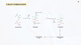 LEVELS OF PROTEIN STRUCTURE | PPTX
