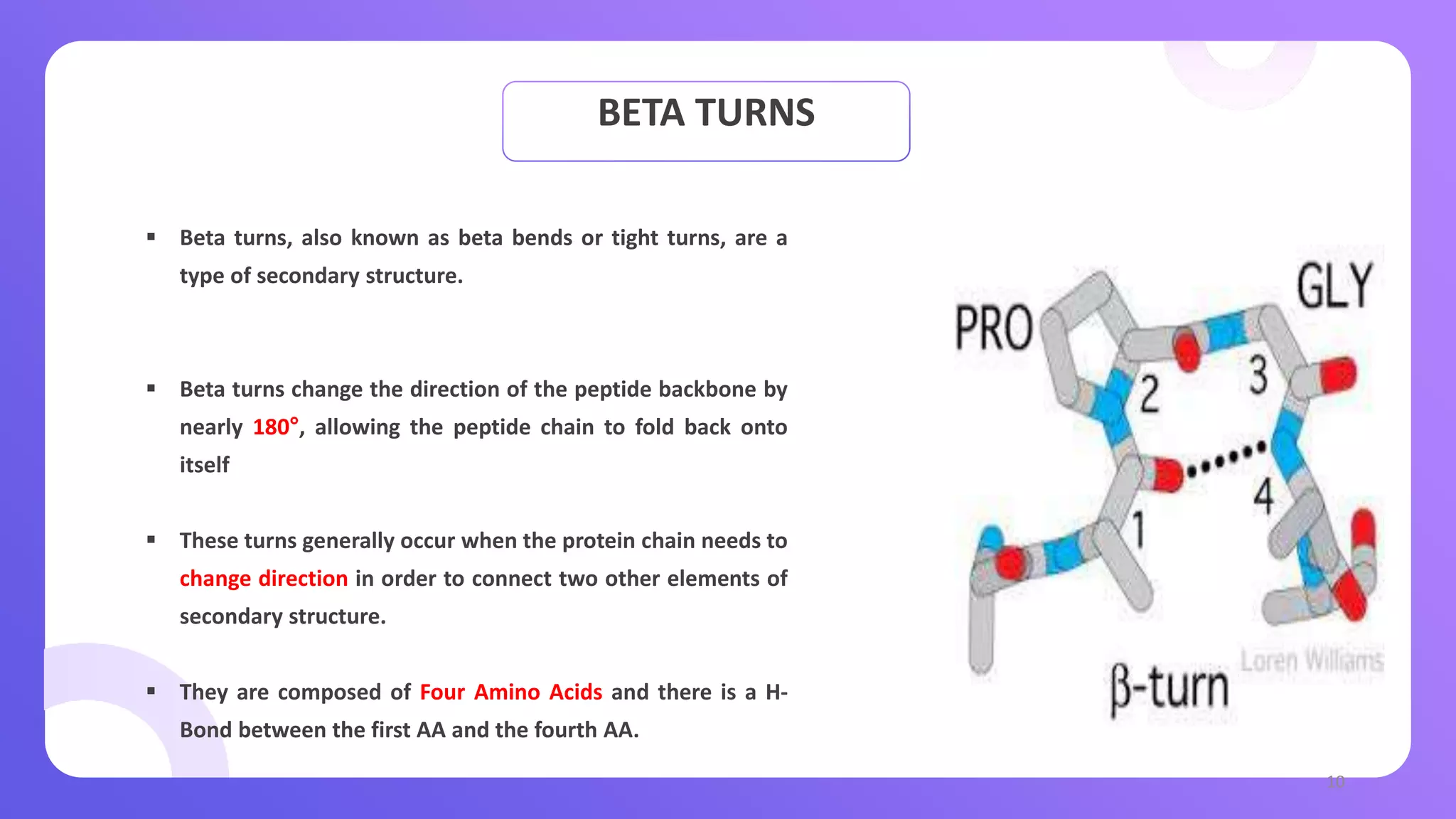 Levels of protein structure.pptx