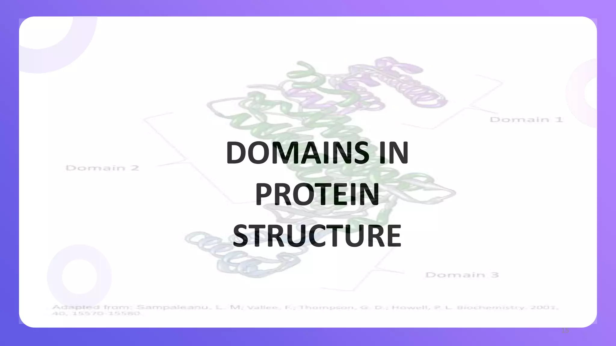 Levels of protein structure.pptx