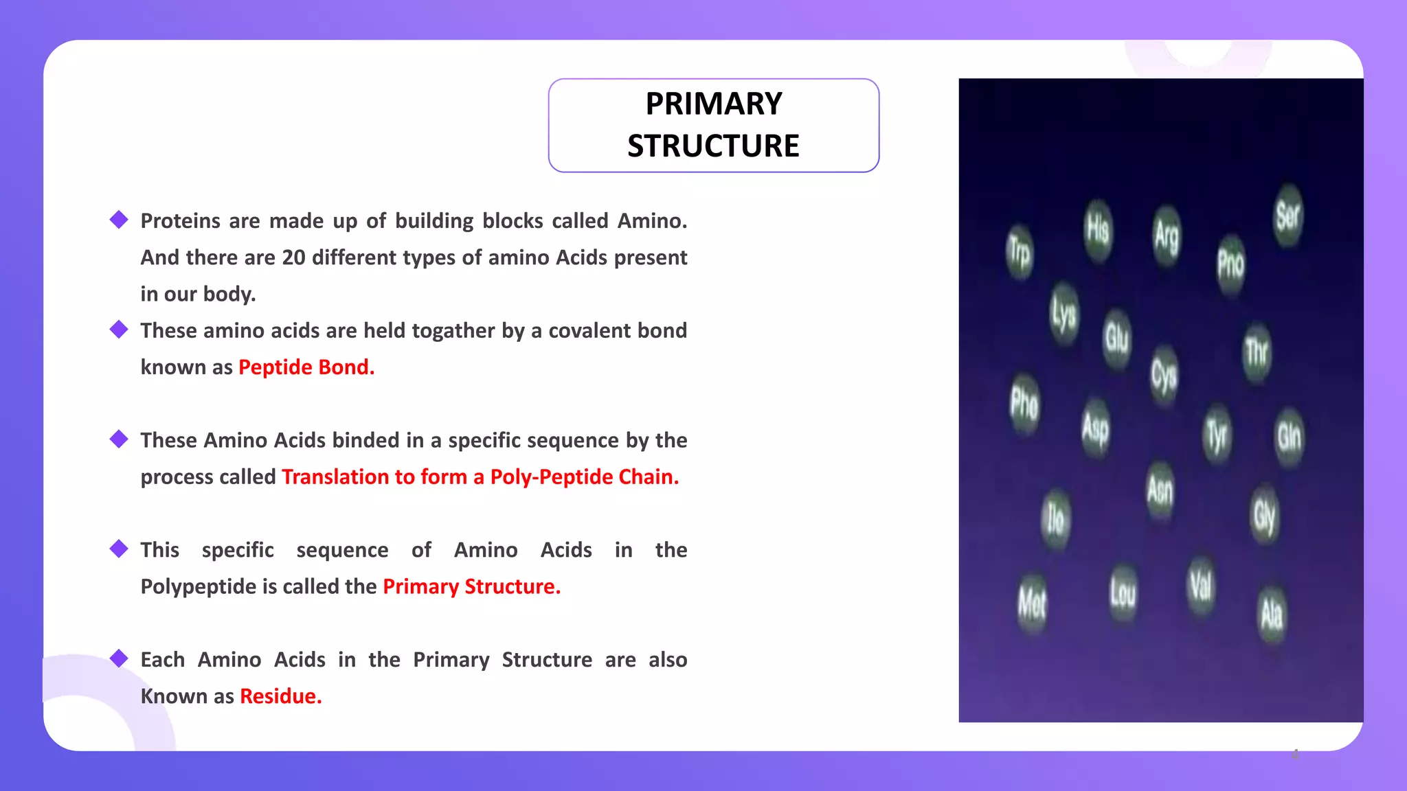 Levels of protein structure.pptx
