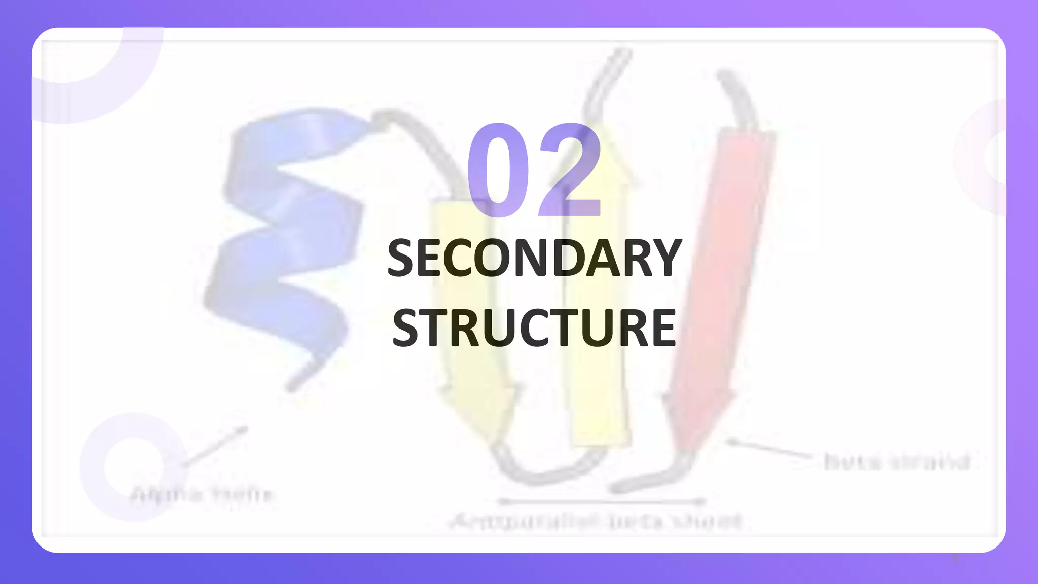 Levels of protein structure.pptx