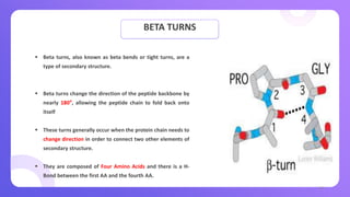Levels of protein structure.pptx