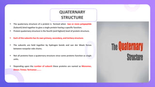 Levels of protein structure.pptx