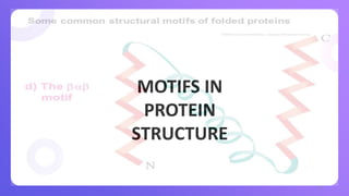 Levels of protein structure.pptx