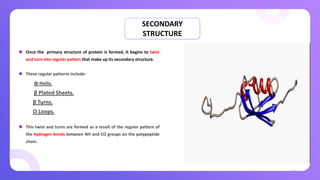 Levels of protein structure.pptx