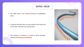 Levels of protein structure.pptx