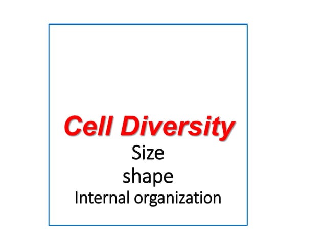 Levels of Structural Complexity of the body.pptx