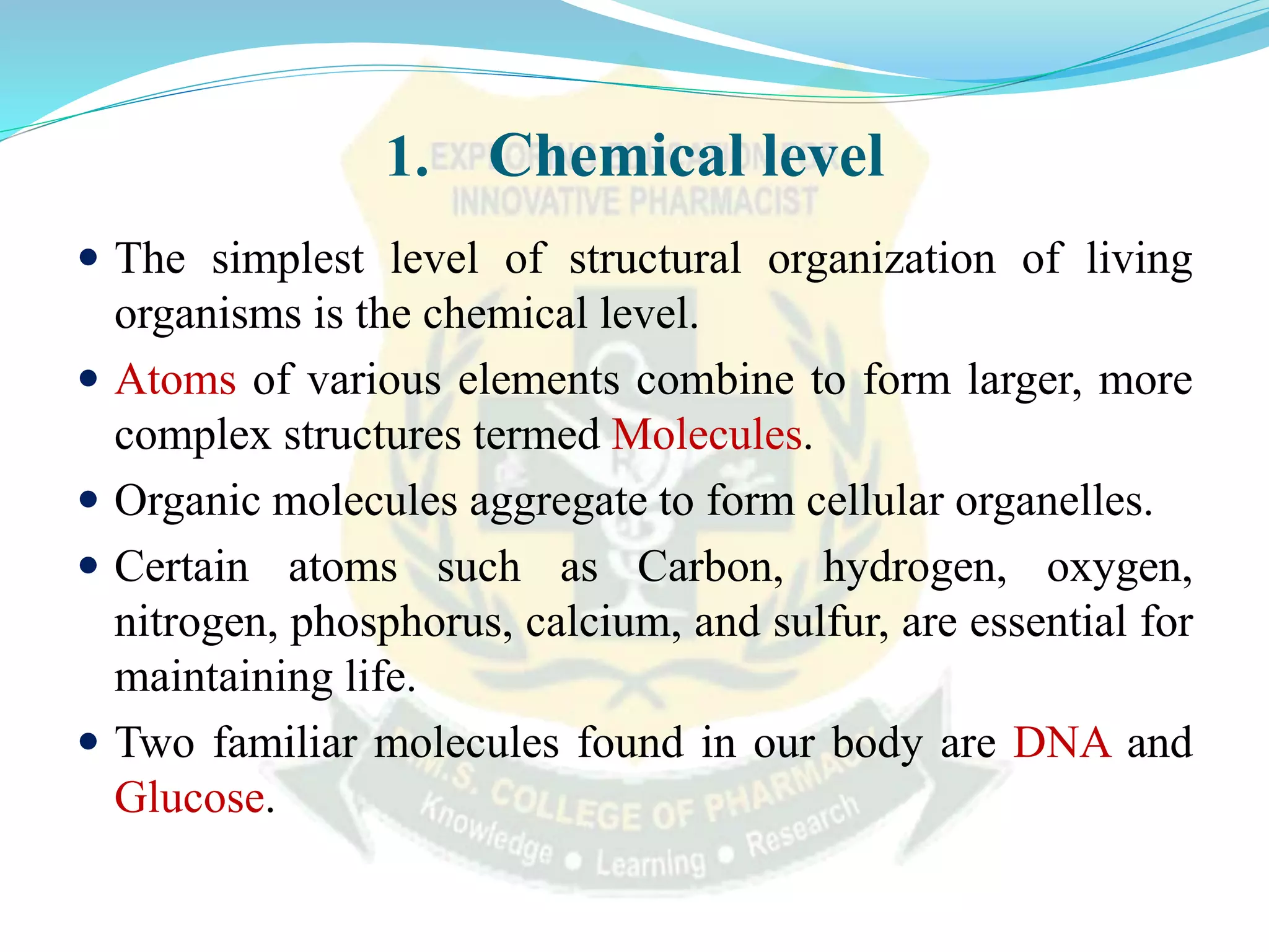 Levels of structural organization | PPTX