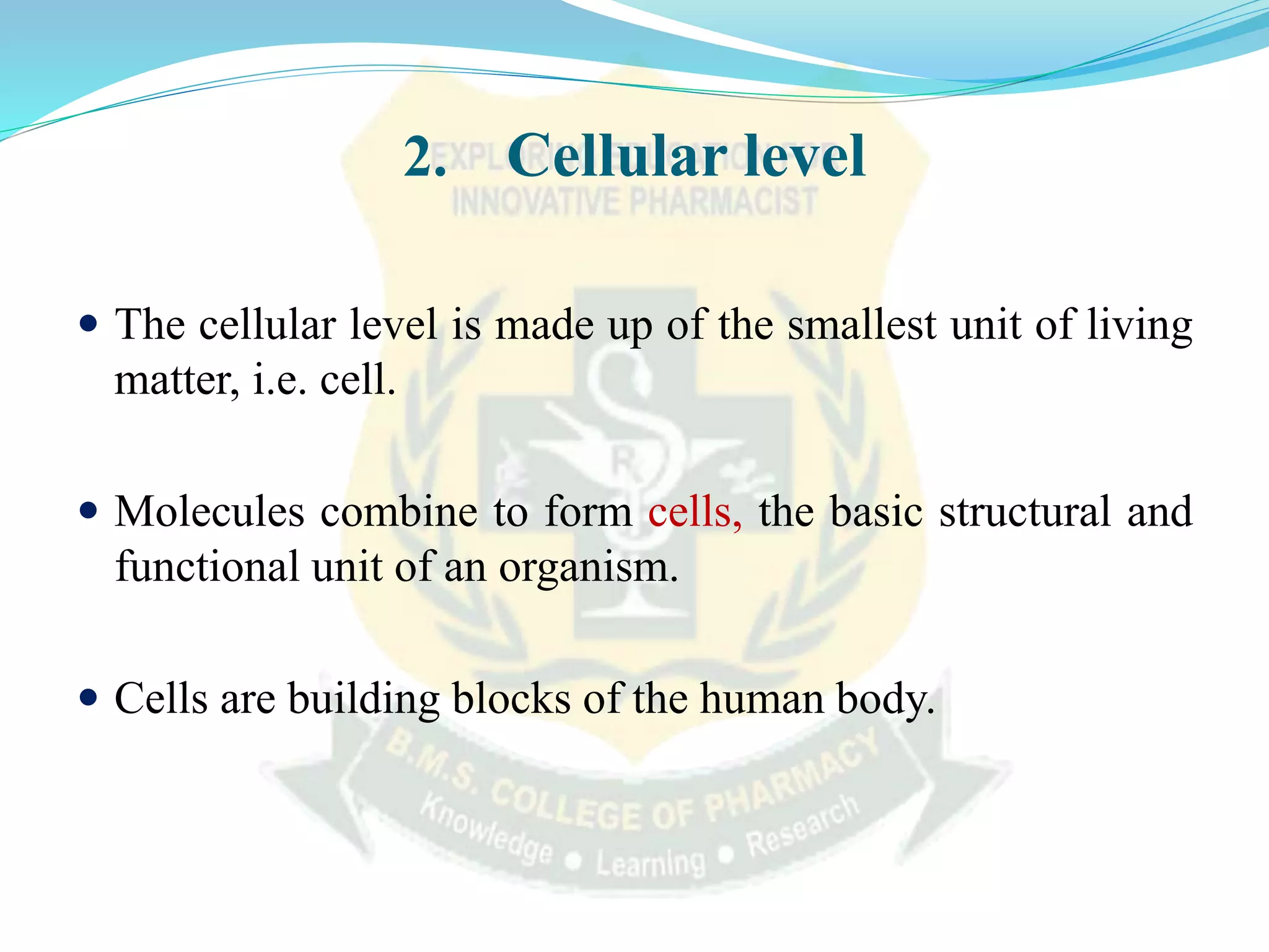 Levels of structural organization | PPTX