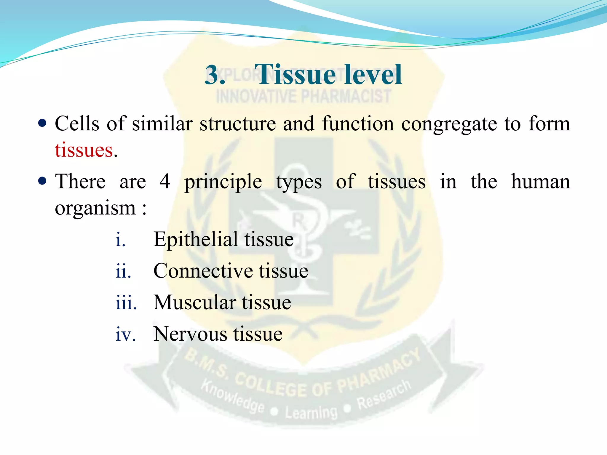 Levels of structural organization | PPTX