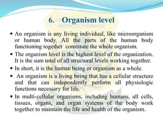 Levels of structural organization | PPTX