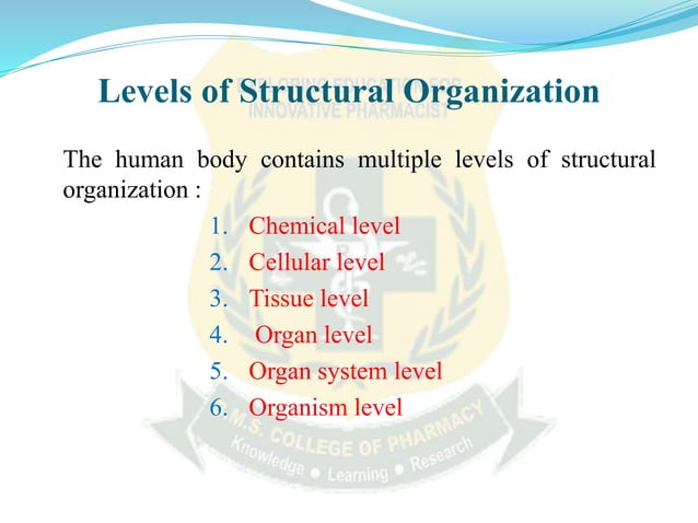 Levels of structural organization | PPTX