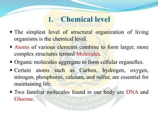 Levels of structural organization | PPTX
