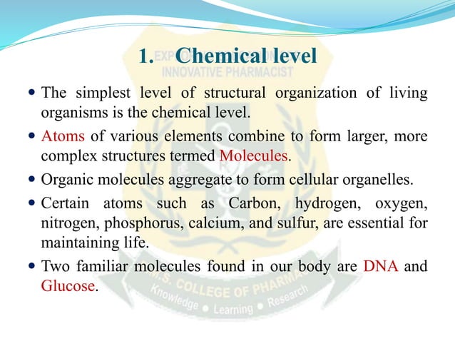 Levels of structural organization | PPTX