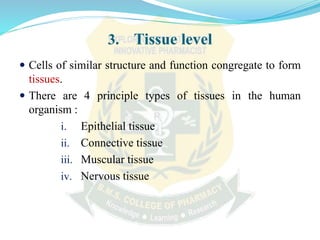 Levels of structural organization | PPTX