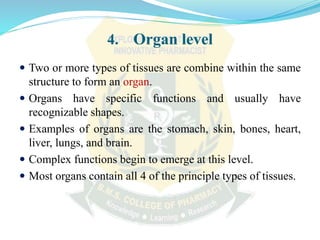 Levels of structural organization | PPTX