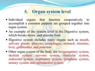 Levels of structural organization | PPTX