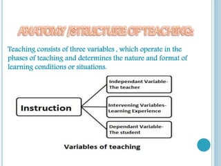 Levels of teaching | PPTX