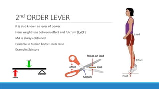 TYPES OF LEVER | PPTX
